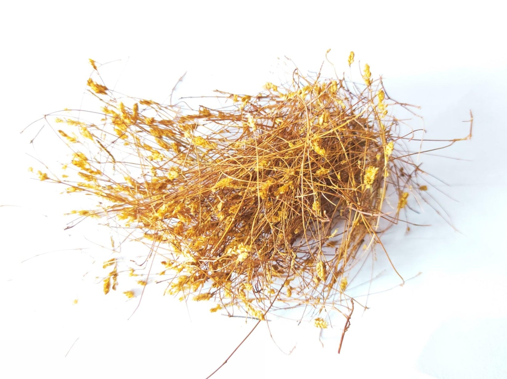 SAHADEVI MOOLIGAI (10grm) (THIS PRODUCT AVAILABLE ONLY INSIDE INDIA ...