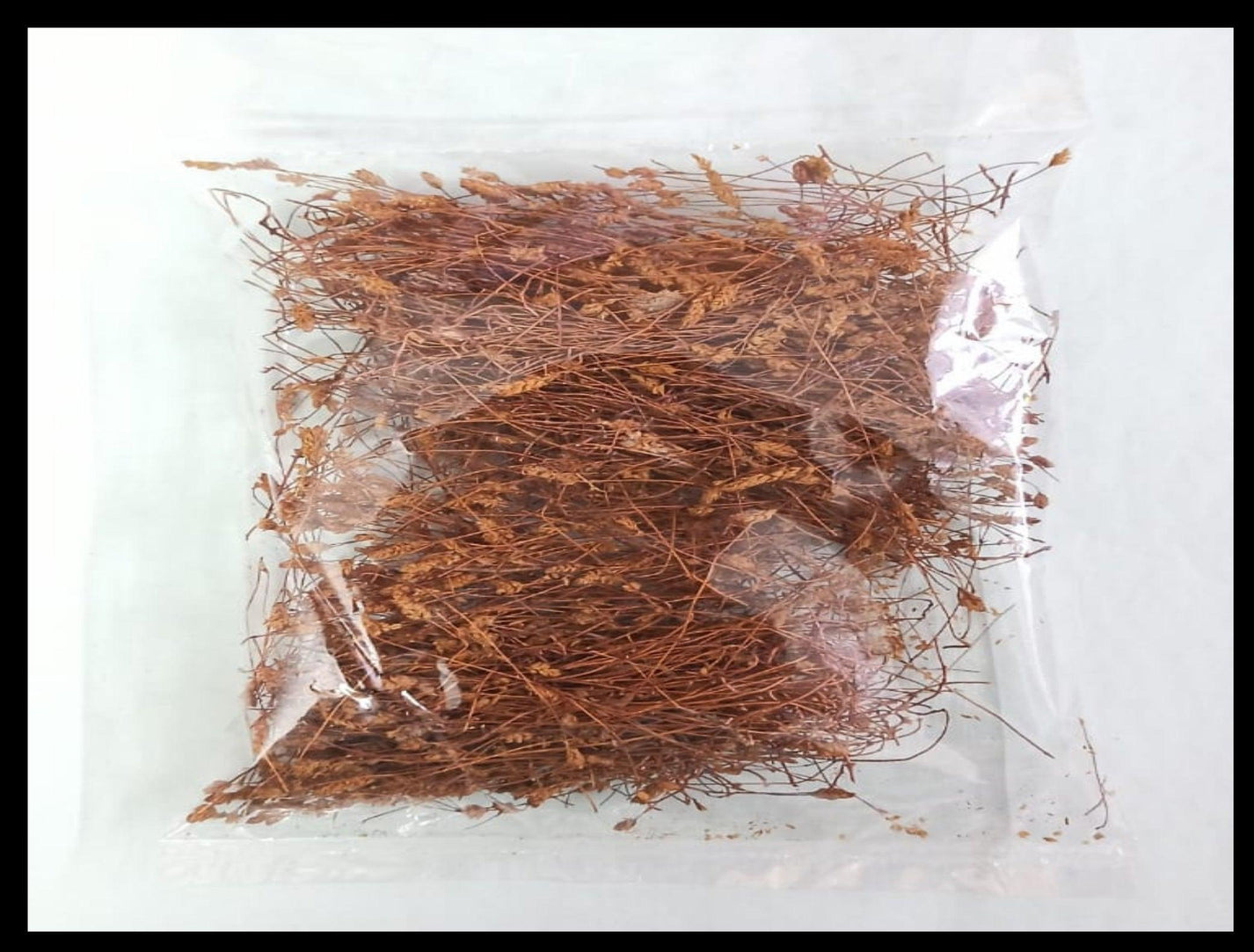 SAHADEVI MOOLIGAI (10grm) (THIS PRODUCT AVAILABLE ONLY INSIDE INDIA ...